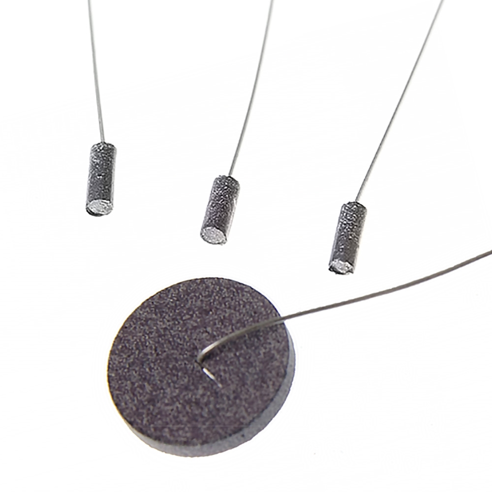 Disk & Pellet Ag/AgCl Electrode | A-M Systems